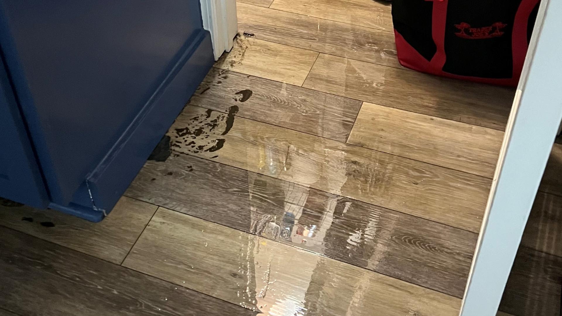 Why FEMA flood maps may have missed Helene's impact on metro Atlanta ...