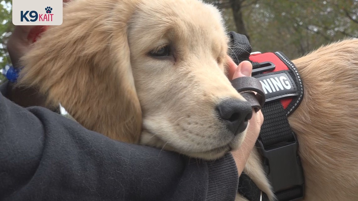 ‘Best boyfriend ever’: Atlanta woman meets new service dog for the ...