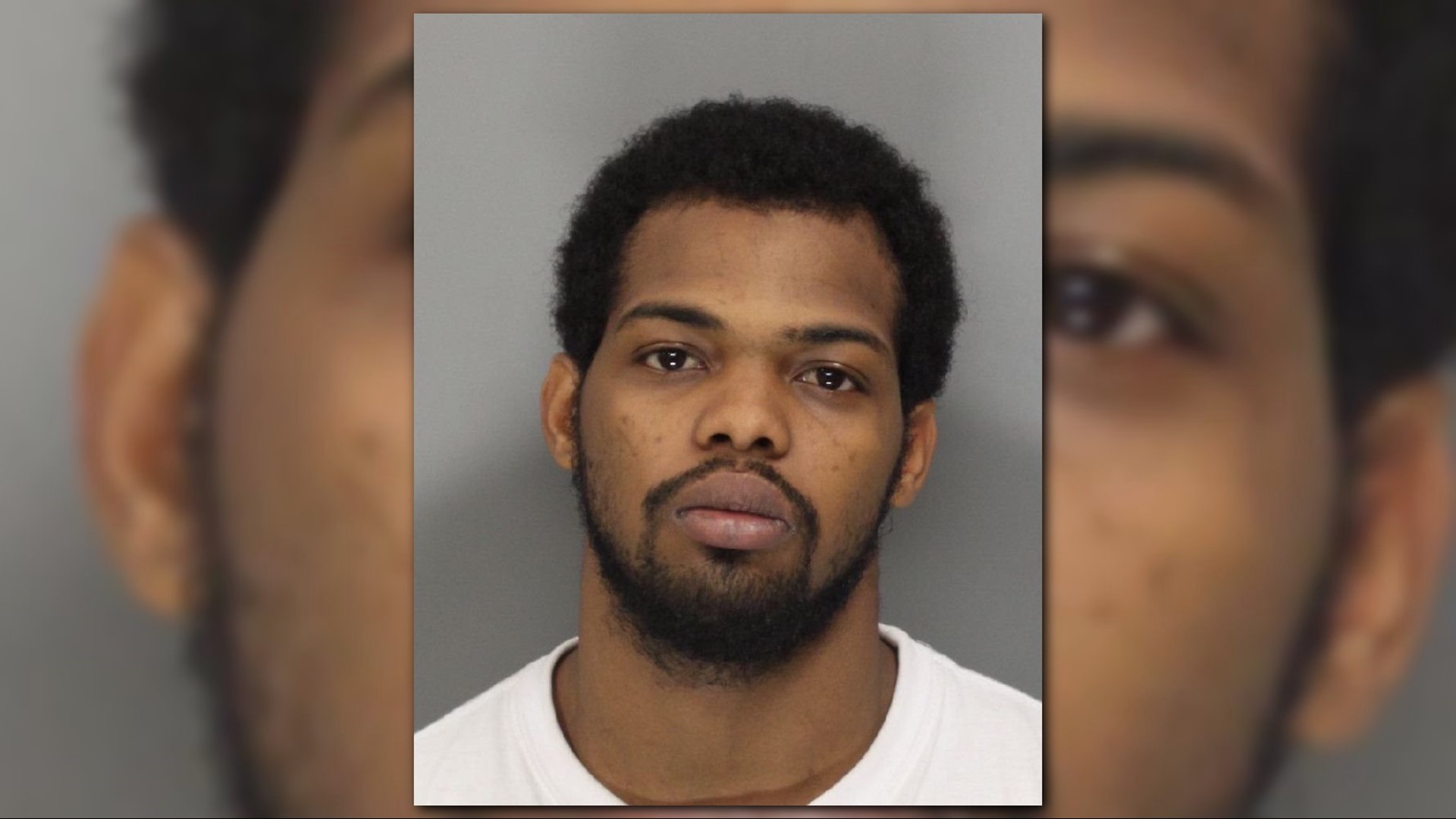 18 months, 12 crimes, 23 guilty pleas: A glimpse into Cobb County's ...