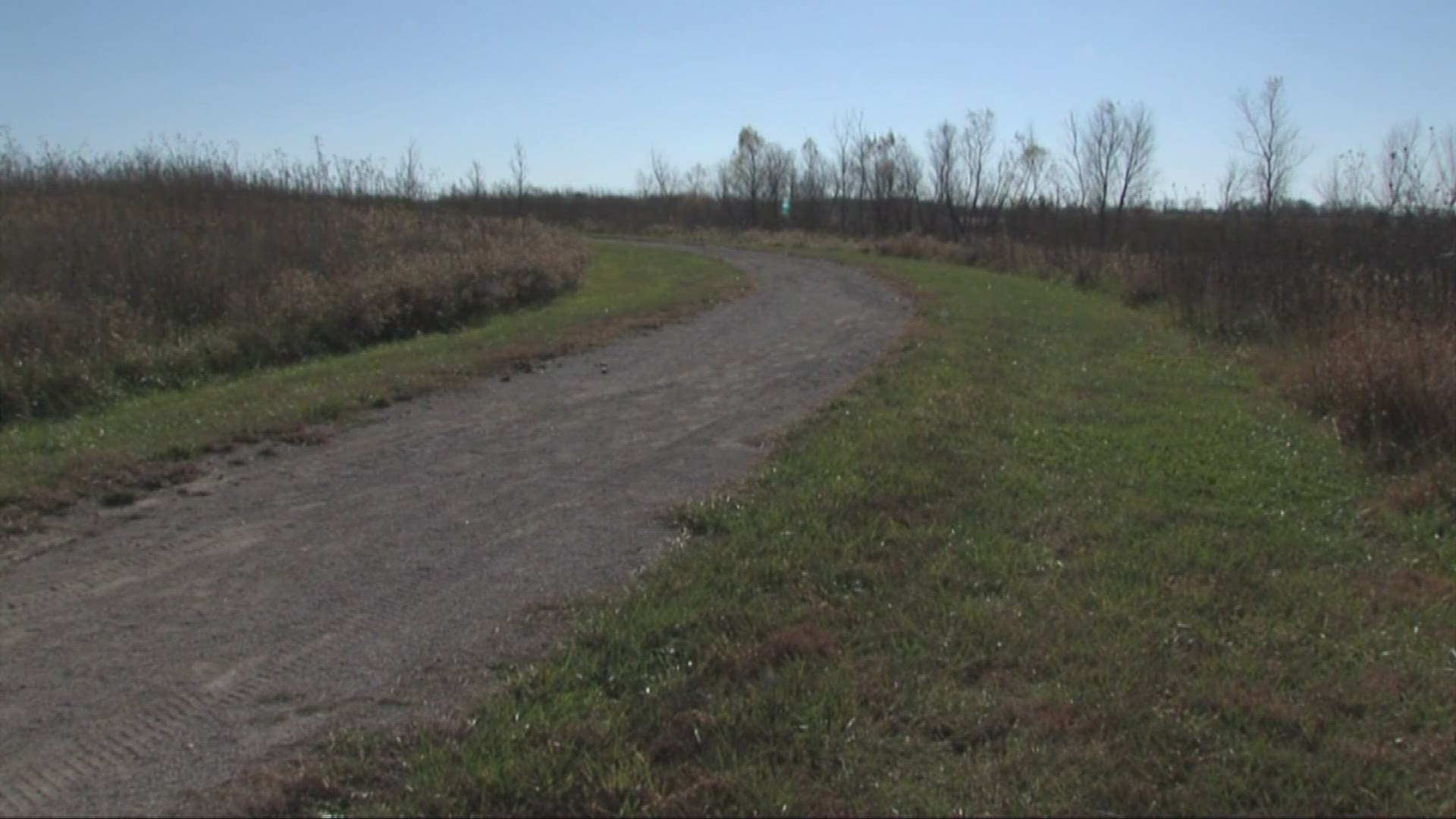 Trail cam captures werewolf and other strange things | 11alive.com