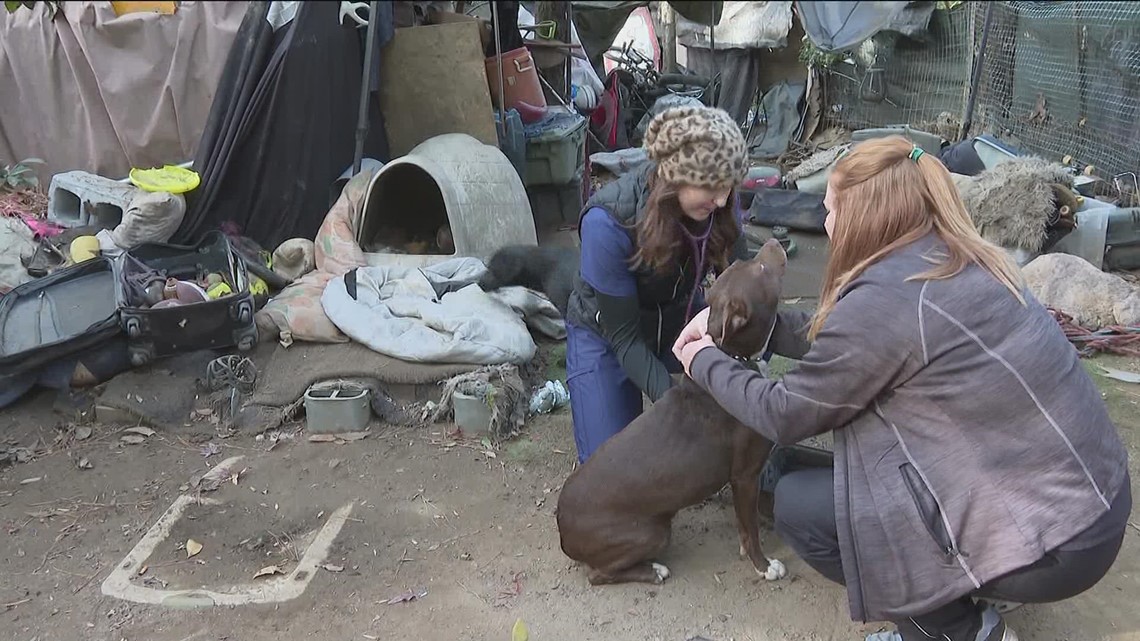 Project Street Vet Atlanta helps pets that live in homeless encampments ...