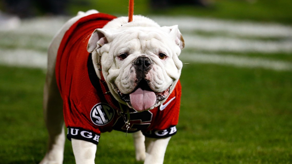 Bulldog mascot Uga X, Que, dies | 11alive.com