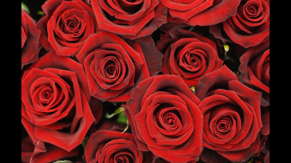 Things to do in Atlanta for Valentine's Day weekend | 11alive.com