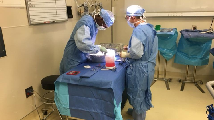 Giving life on a day of love: Local woman gets life-saving kidney in ...