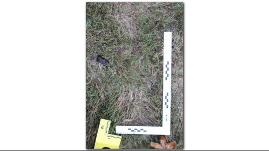 Inside the case file of the Tamla Horsford death investigation ...