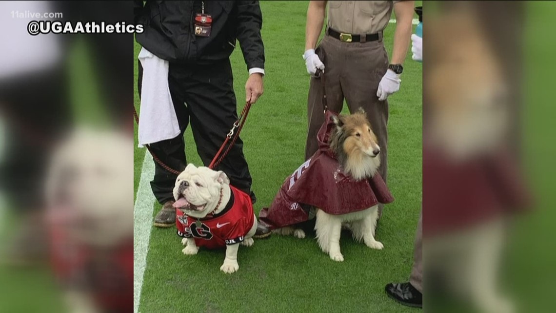 Uga meets Reveille | 11alive.com
