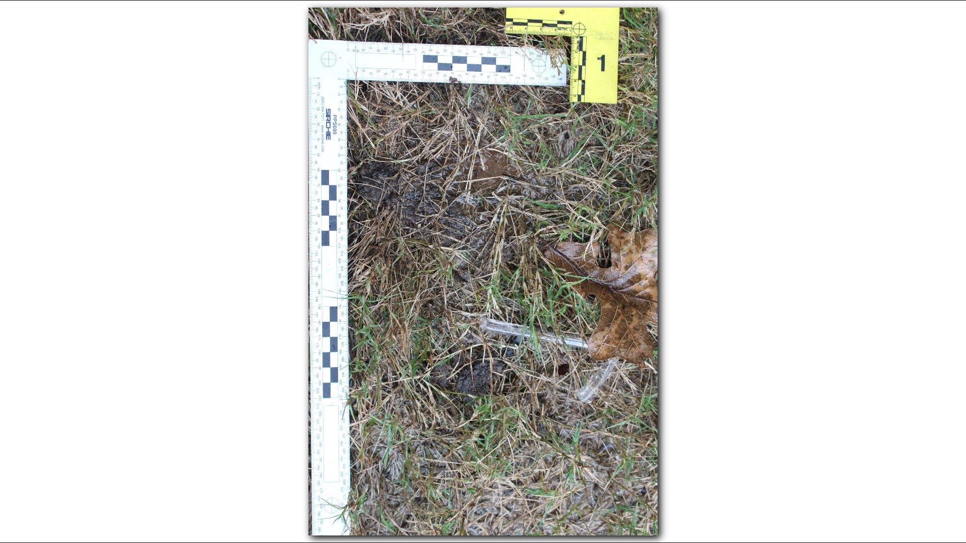 Inside the case file of the Tamla Horsford death investigation ...