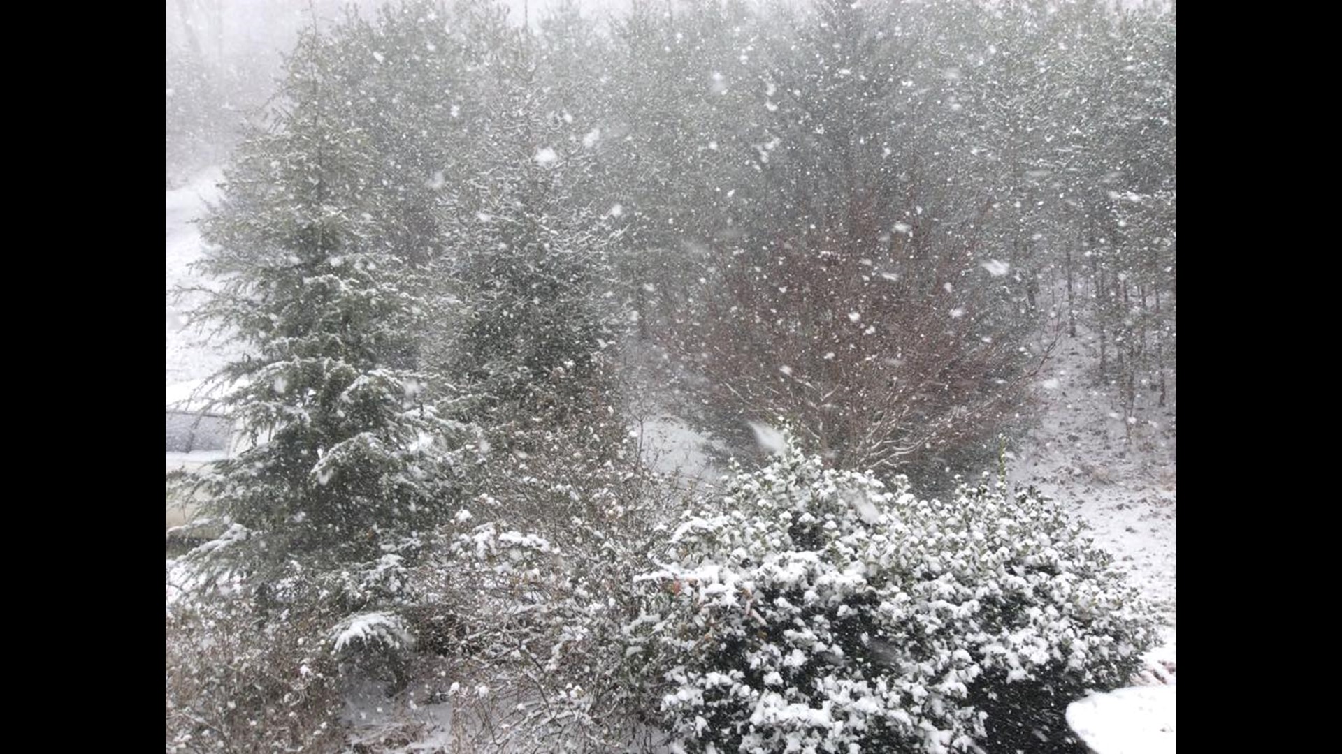 Sleet and snow falling on NW Georgia | 11alive.com