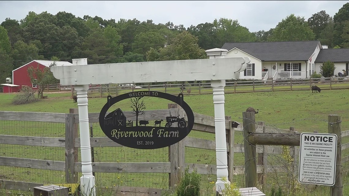 Locust Grove animal shelter in need of costly repairs after storm ...