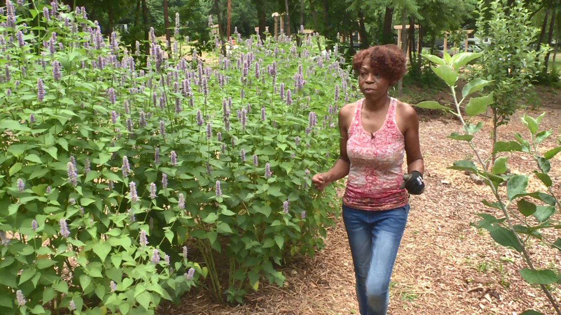 7.1 acre Urban Food Forest to become an oasis in an Atlanta food desert ...