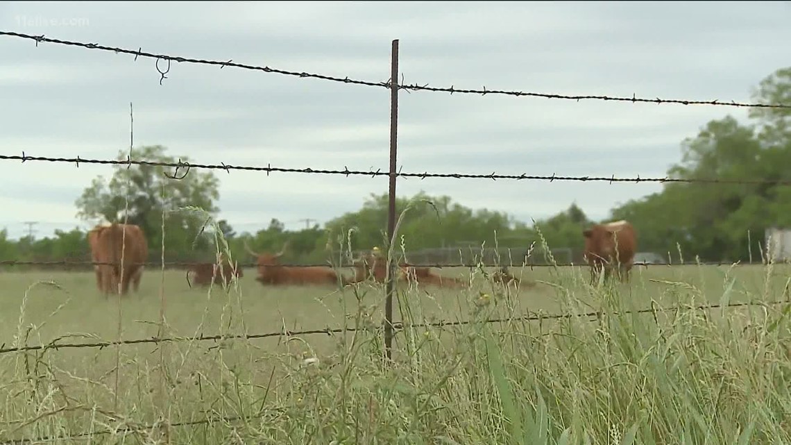 Census Bureau designates Georgia cities from urban to rural | 11alive.com