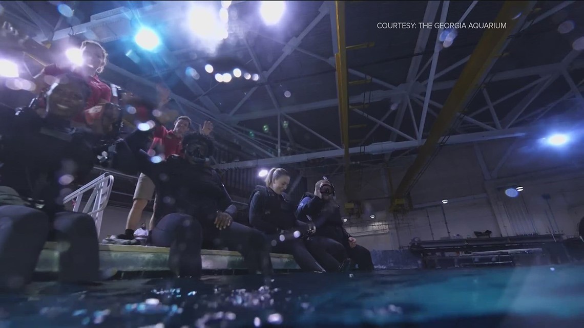 Here's what to know about the veteran immersion program at Georgia ...