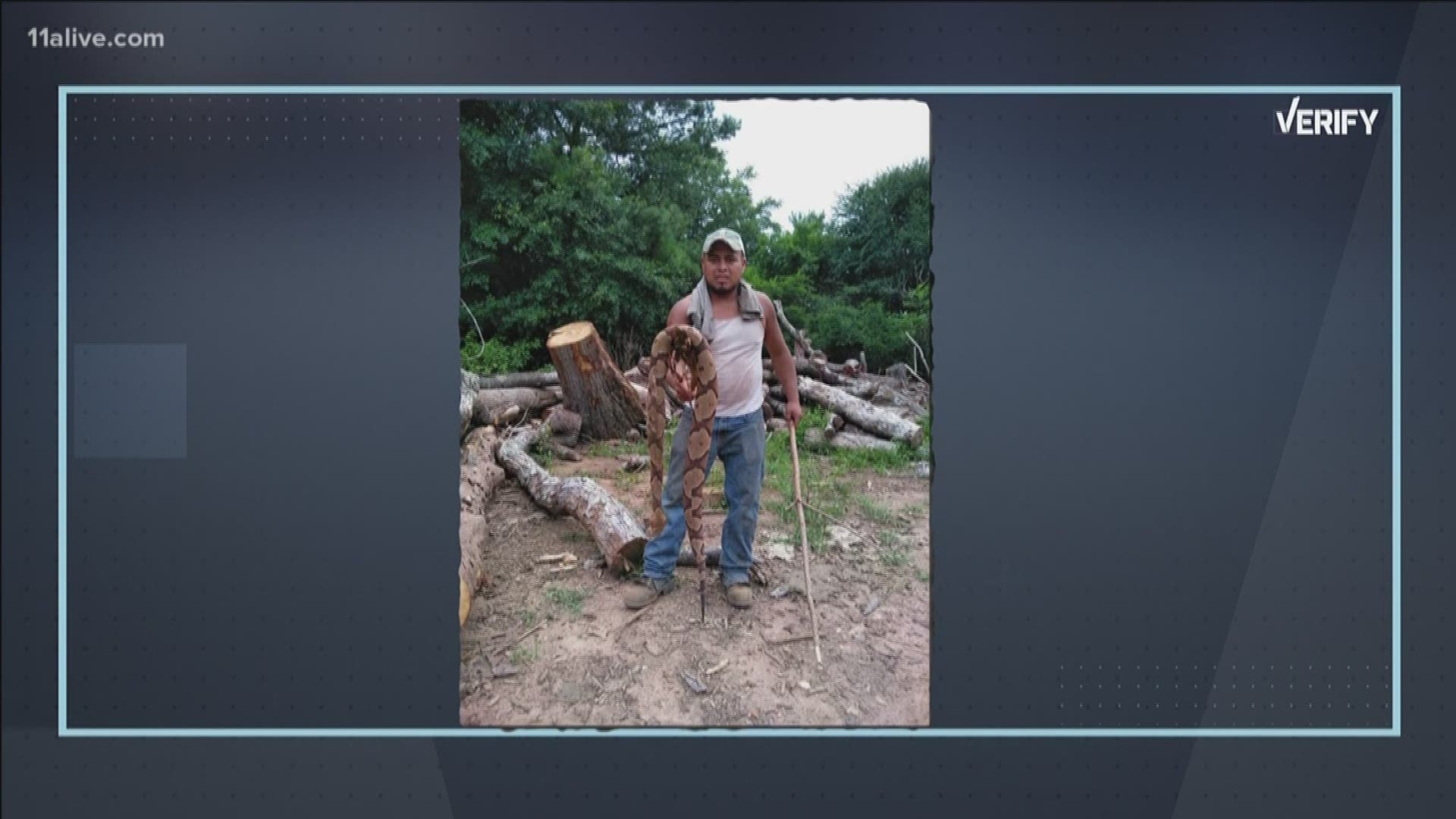 VERIFY: Was a massive copperhead snake found in Canton, Ga.? | 11alive.com