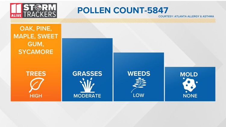 Pollen count surges to record high, could be higher this weekend ...