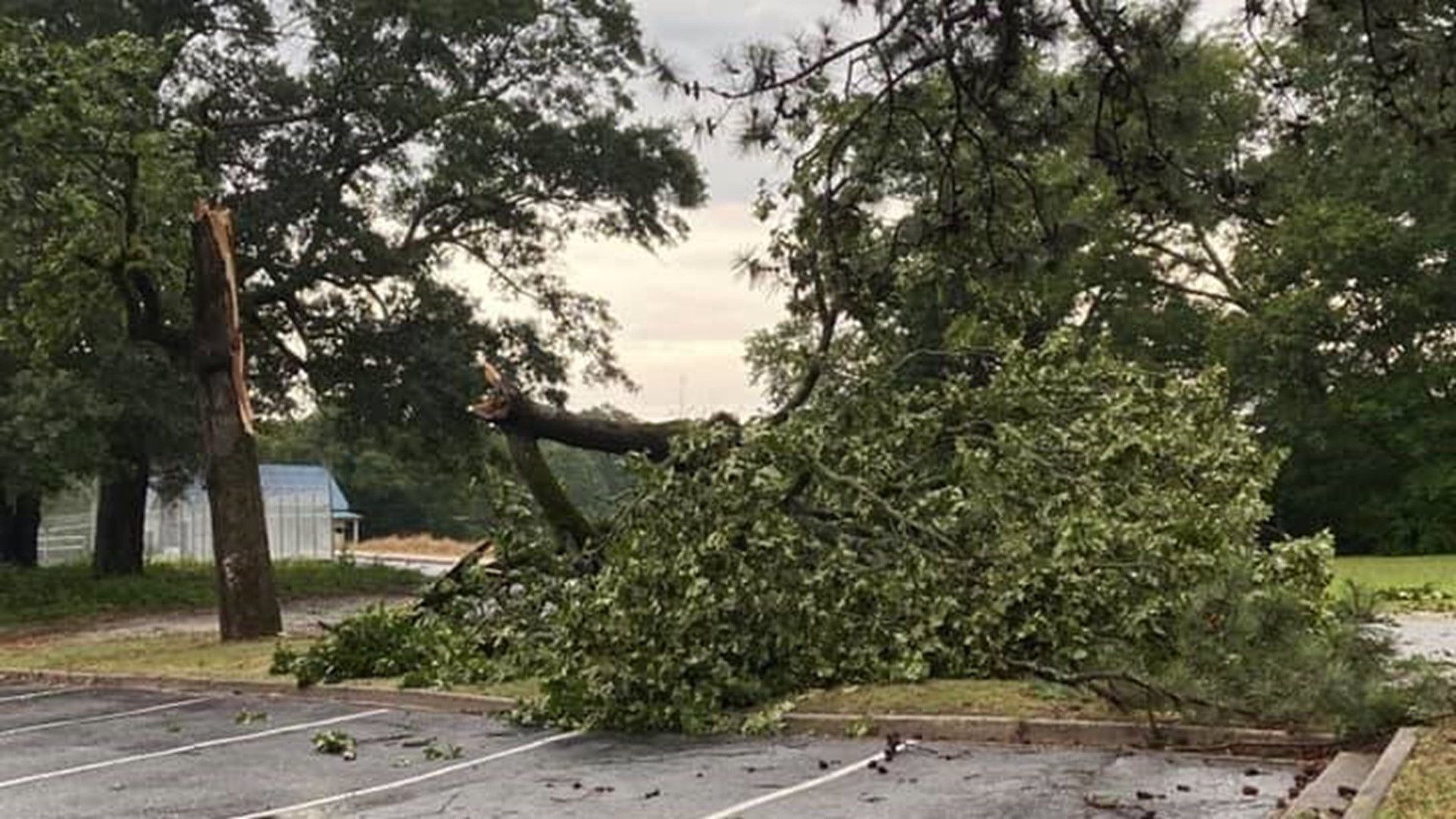 Conyers storm damage on Monday likely not a tornado | 11alive.com