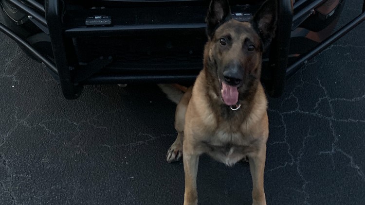 K-9 officer helps take down rolling drug store | 11alive.com