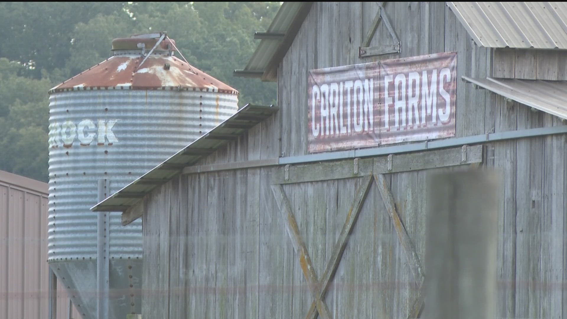 Family releases photos of 6-year-old girl who died during field trip ...