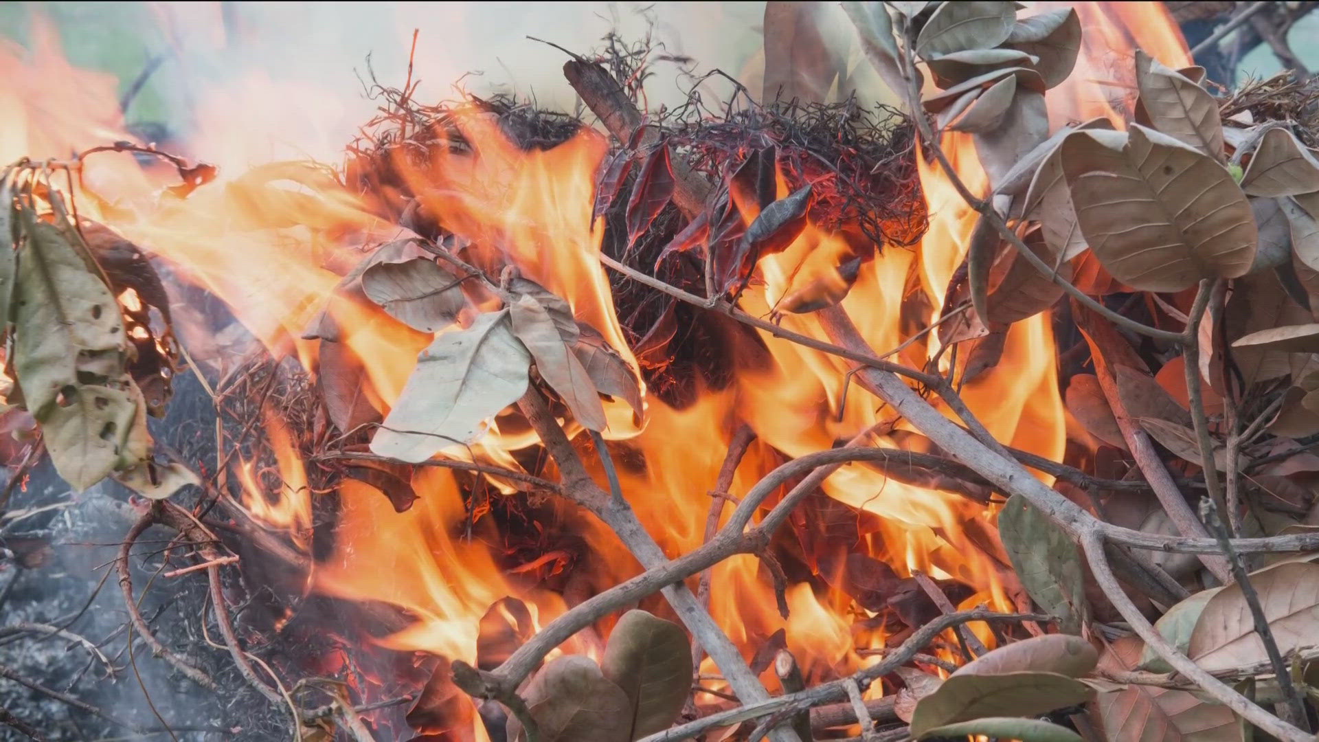 Georgia burn ban begins this week | List of counties impacted | 11alive.com