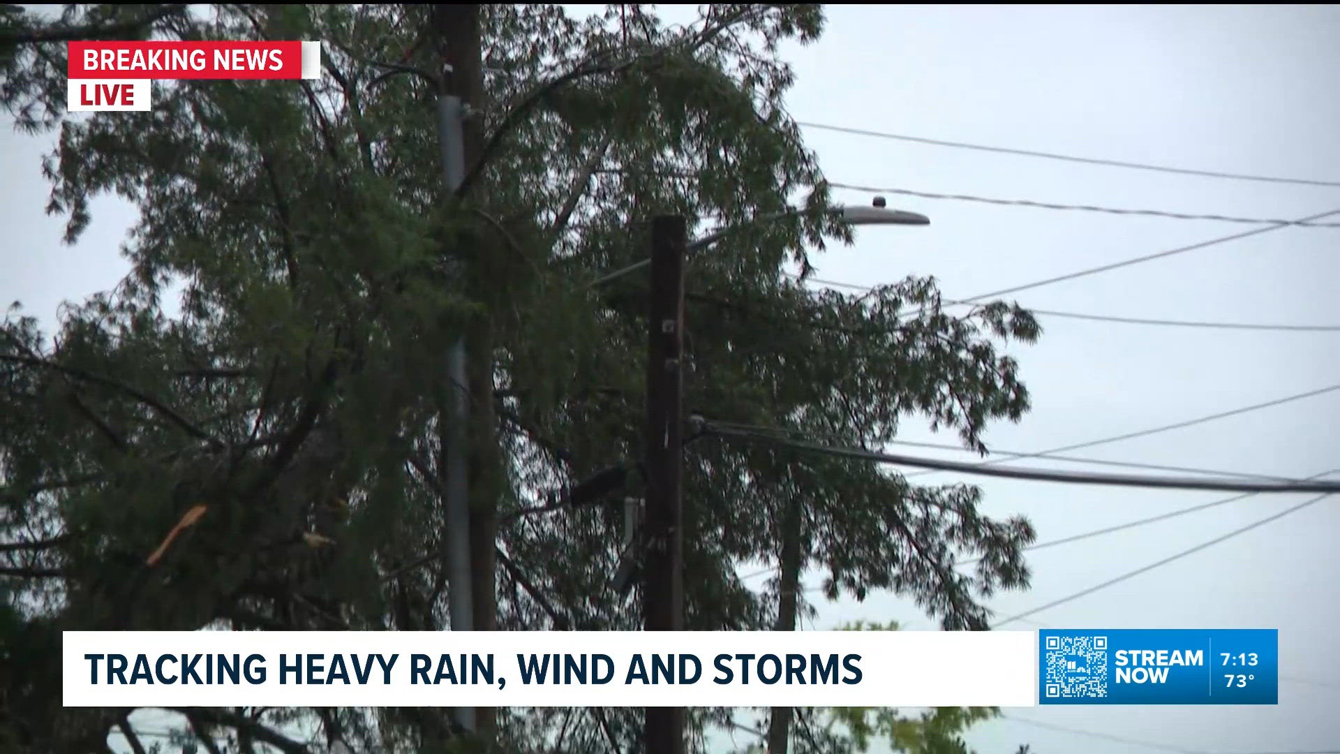 Tree comes down on power line in DeKalb County | 11alive.com