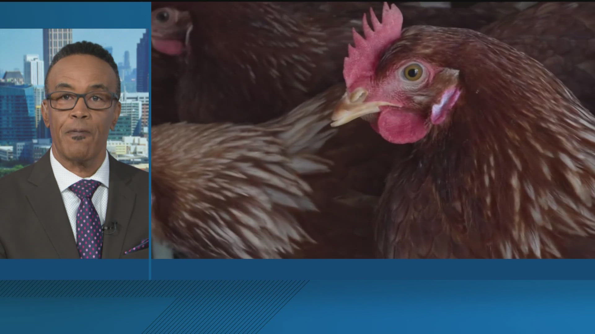 Washington resident is infected with a different type of bird flu ...