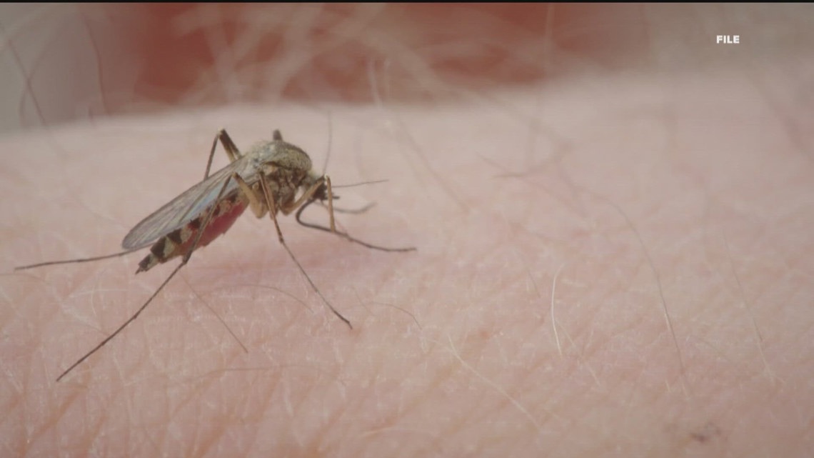 Two Fulton County mosquito samples test positive for West Nile ...