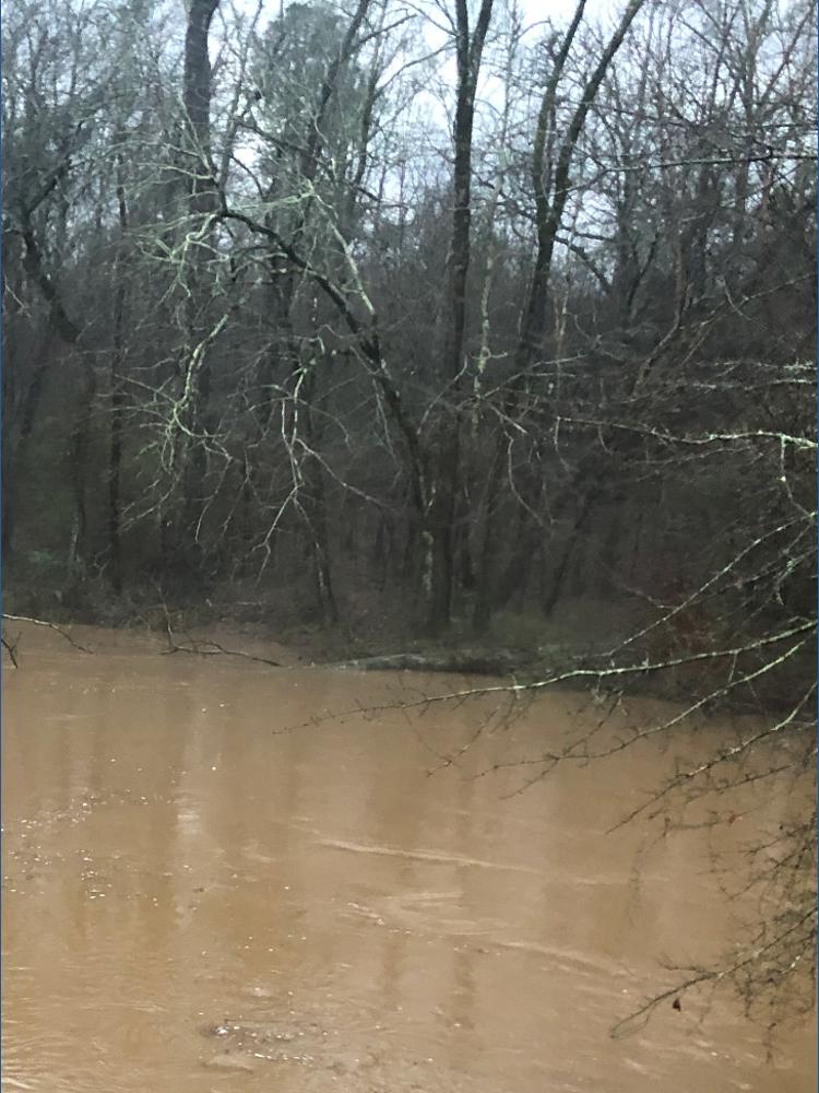 A balloon hitting a power line is likely the cause of the Brantley ...