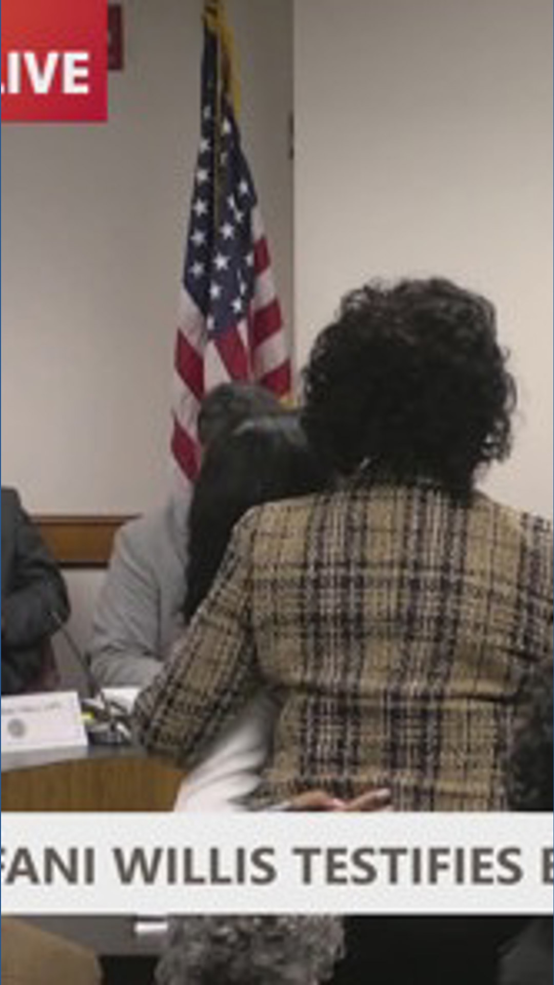 'Keep threatning me' Fani Willis testifies before Senate committee on ...