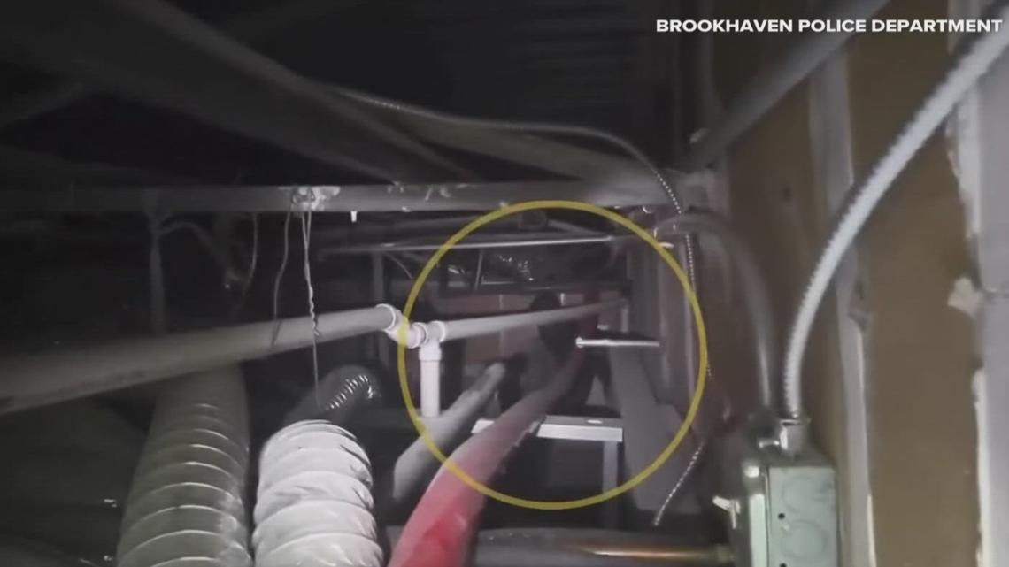 Suspect hides in Wingstop's ceiling | Bodycam video | 11alive.com