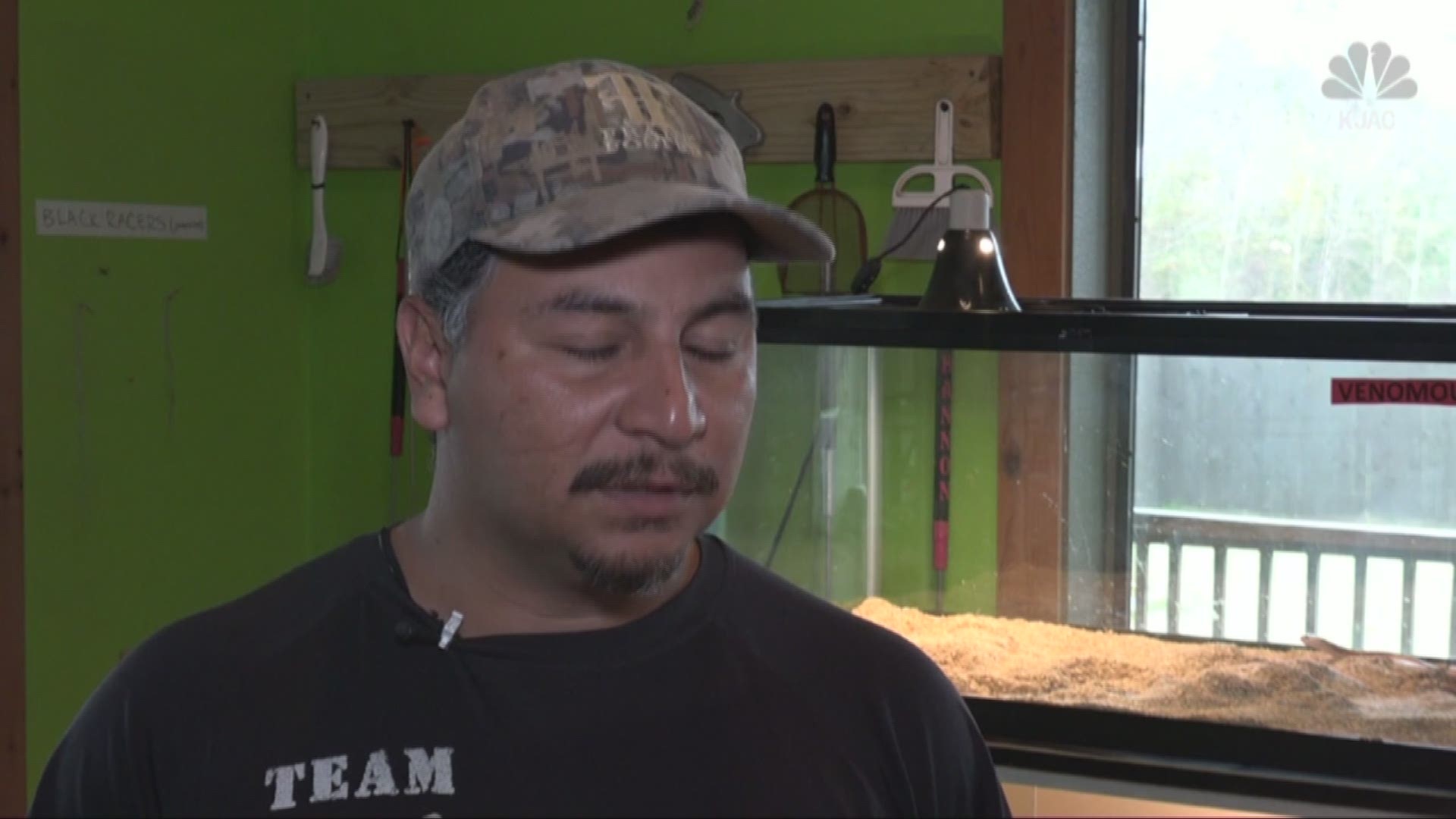 A snake handler survives a Cobra bite | 11alive.com