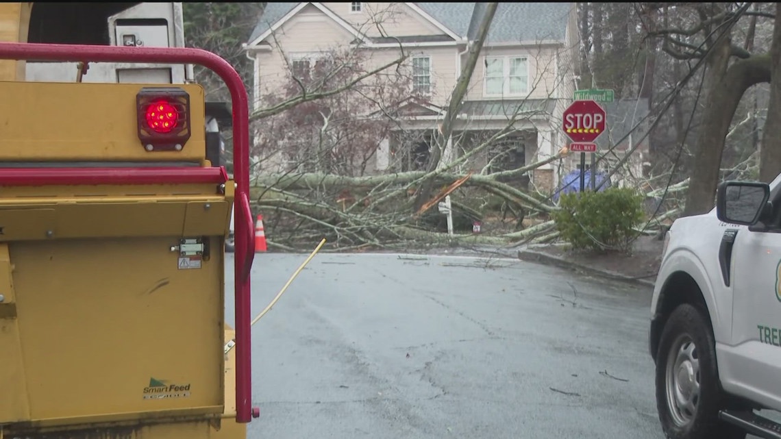 On the scene of a downed tree in Morningside | 11alive.com