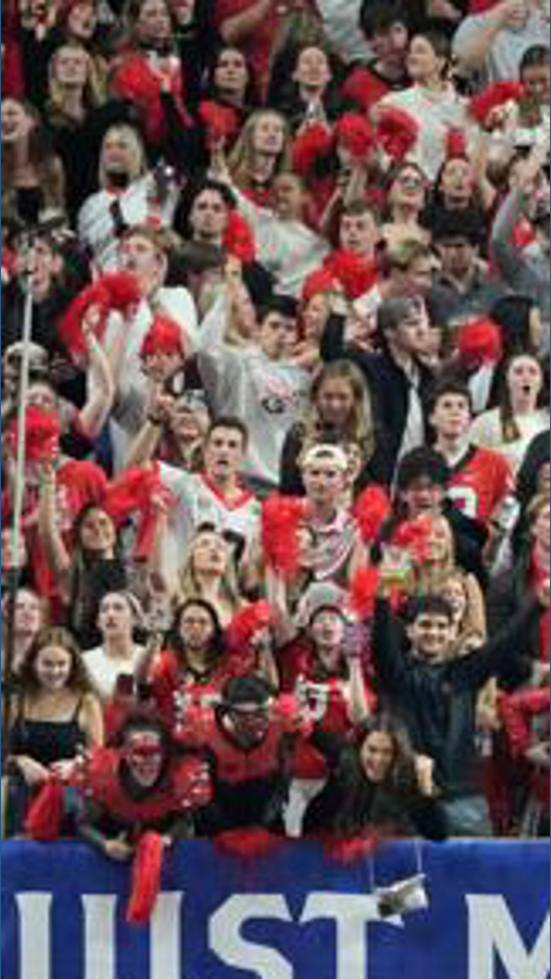 Georgia fans excited after SEC Championship win | 11alive.com