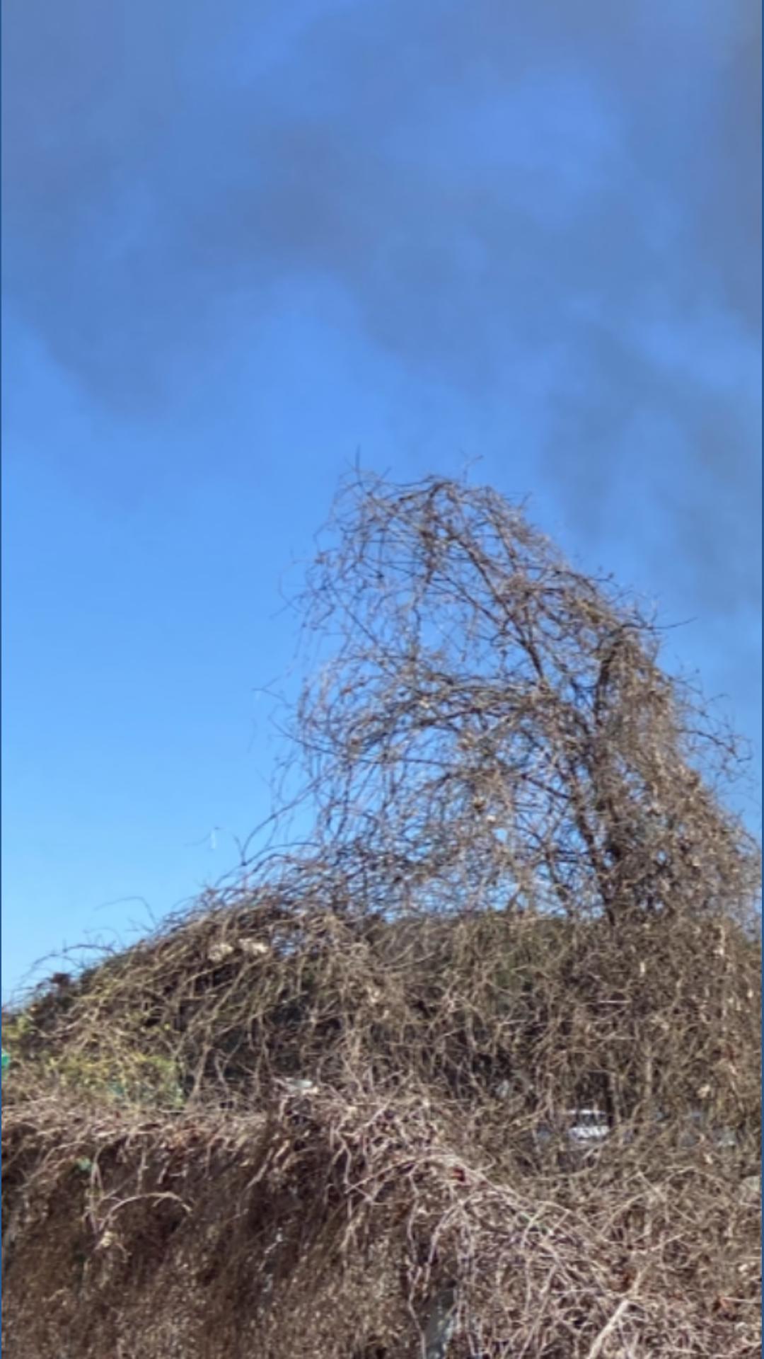 2024 Georgia election results: Interactive county-by-county map ...