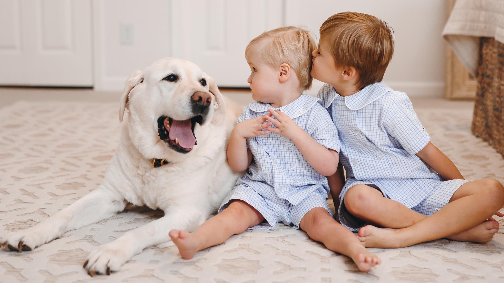 Georgia nonprofit helps families of children with disabilities find ...