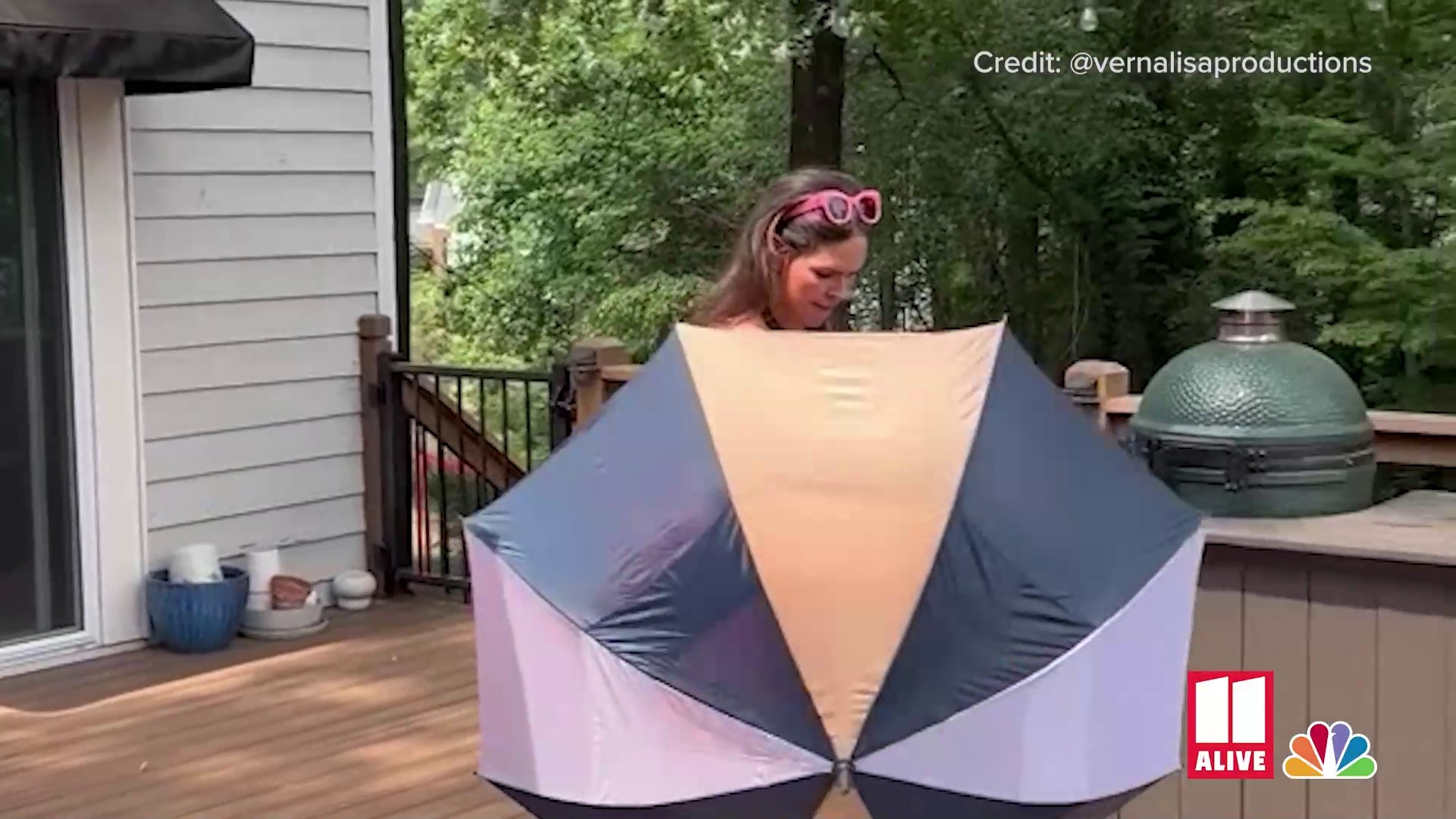 Georgia couple finds vulture inside their home | 11alive.com