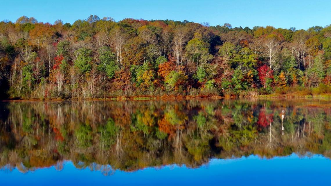 Fall colors reach peak across north Georgia | 11alive.com