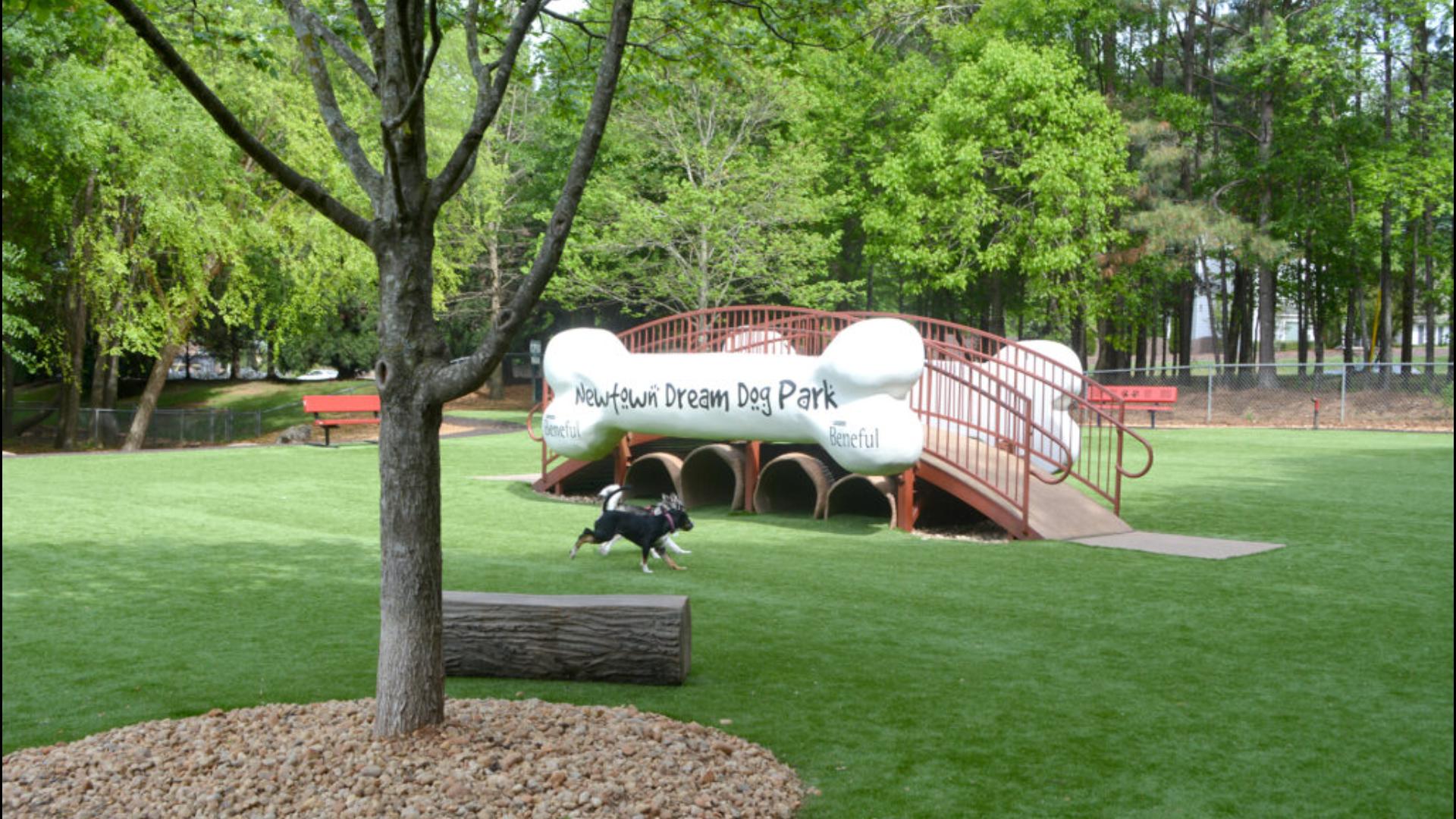 Newtown Park in Johns Creek | Best dog parks in US list | 11alive.com
