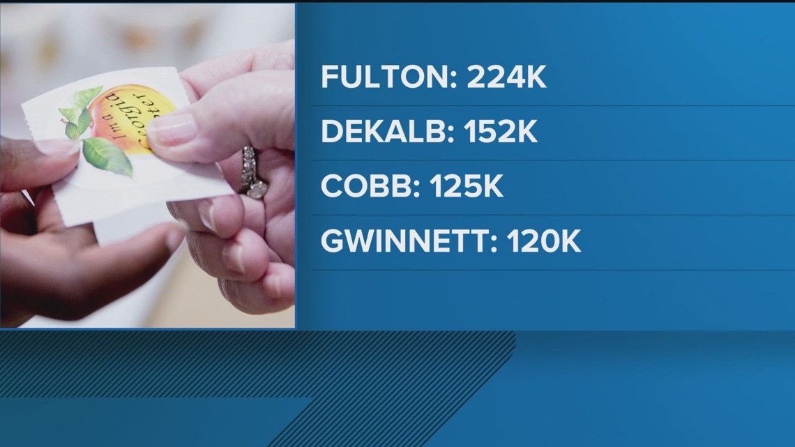 Data shows how many people voted in Georgia in this year's elections ...