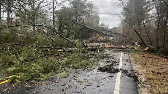 Severe weather damage in Georgia after overnight storms | 11alive.com