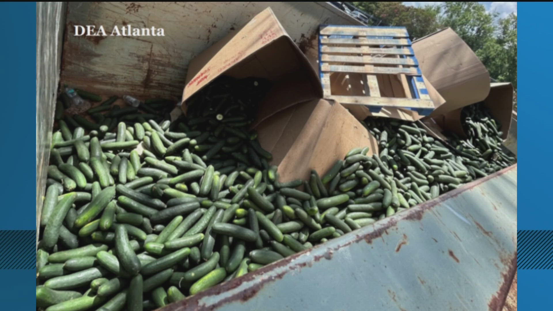 700 pounds of meth found hidden in boxes of cucumbers in Gainesville ...