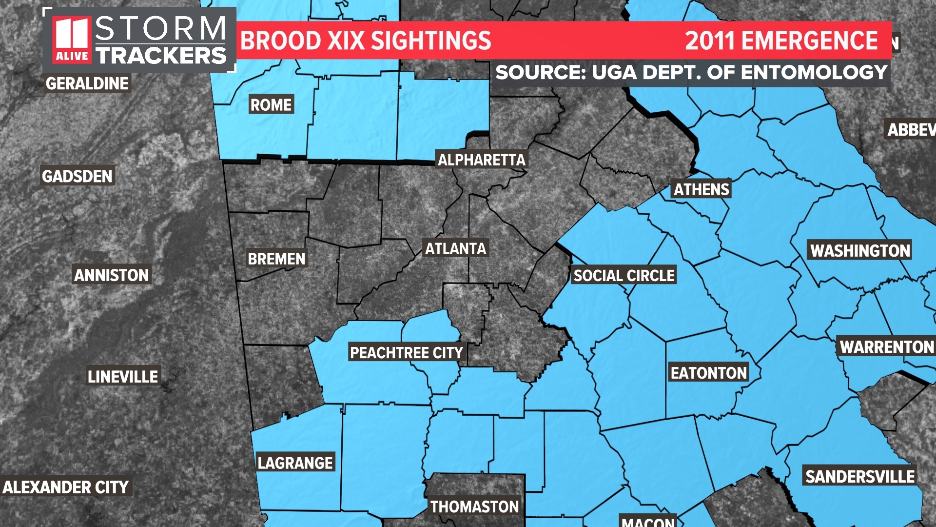 Where are the cicadas coming in Georgia 2024 | 11alive.com