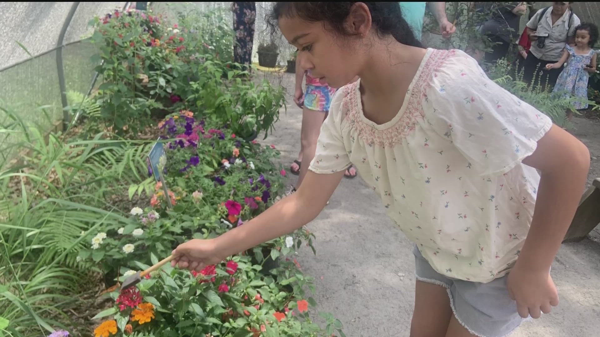 Forest Park to host first Selena Day, celebrating artist | 11alive.com