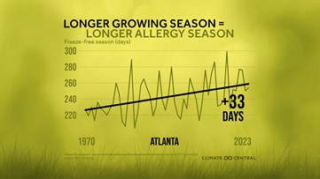 Record pollen count Atlanta | 11alive.com