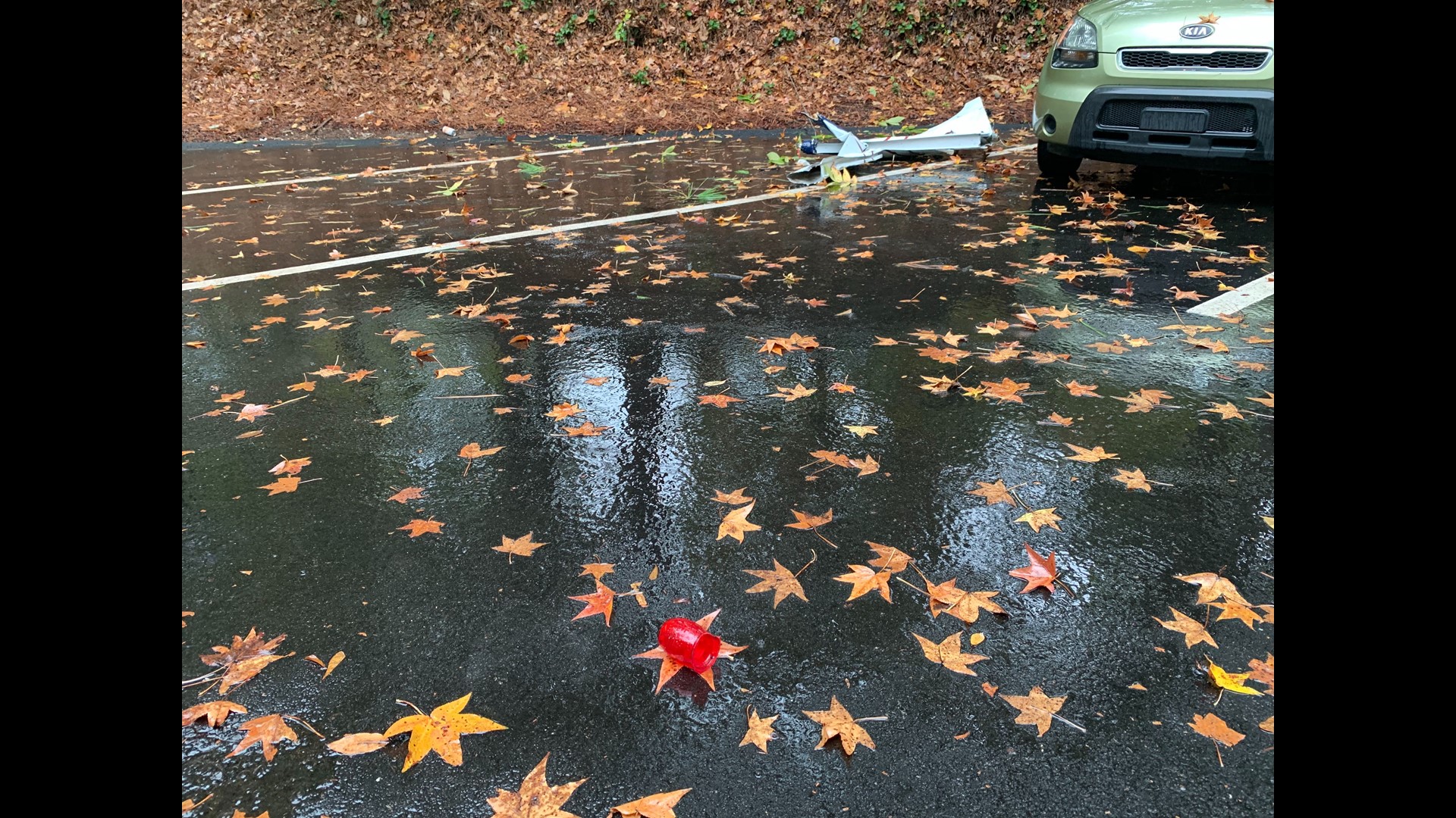 Leslie Csanyi and Scott Lowrie killed in Georgia plane crash | 11alive.com