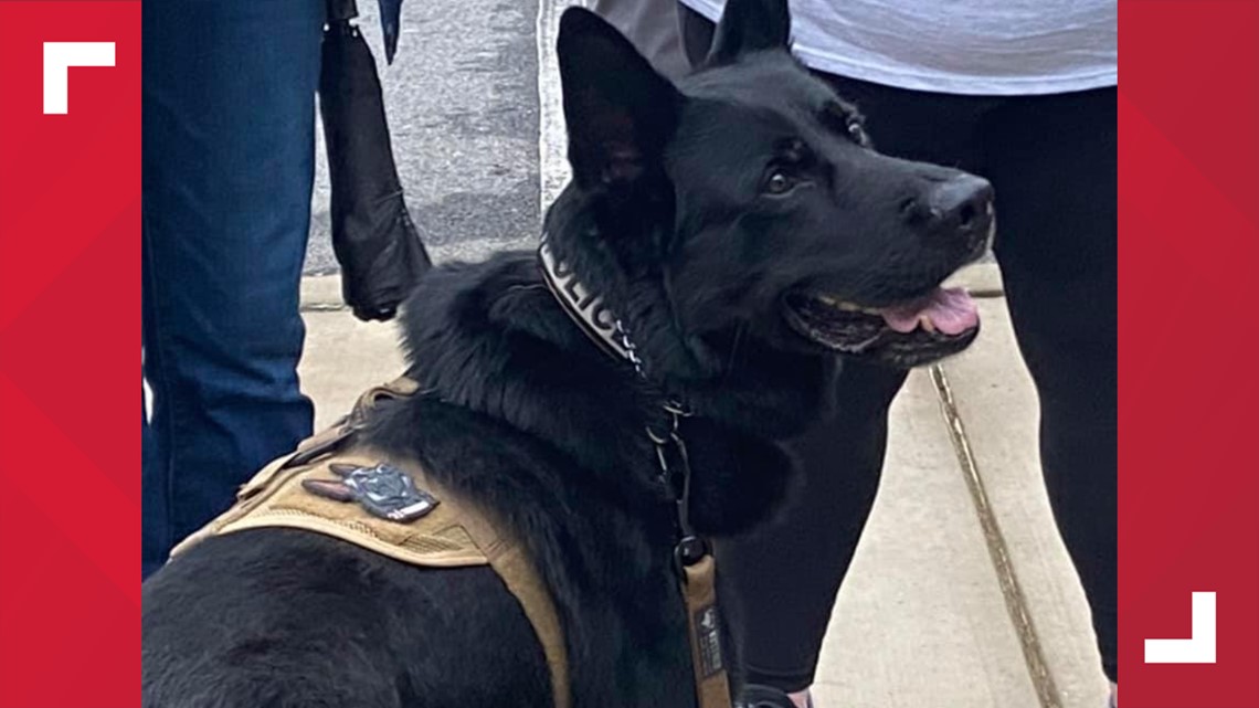 AKC Award | Retired Alpharetta police K-9 Mattis honored on ESPN ...
