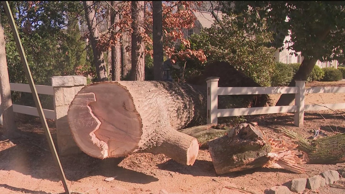 Fallen tree in Atlanta brings down power line | 11alive.com