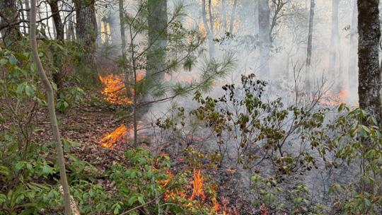 Wildfire burns 364 acres in Rabun County | 11alive.com