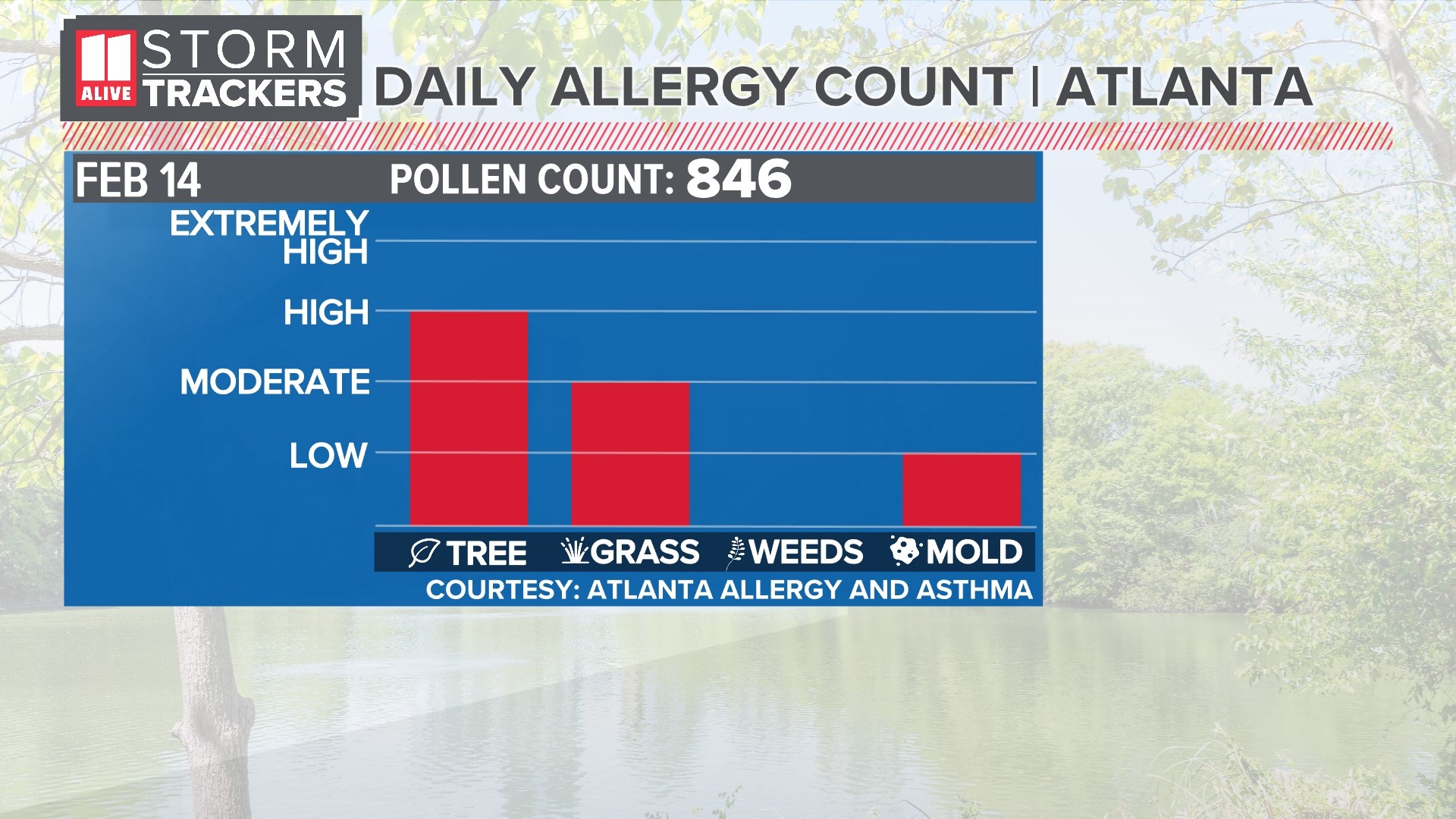 Tree allergens spike for first time in 2022 | Georgia weather | 11alive.com