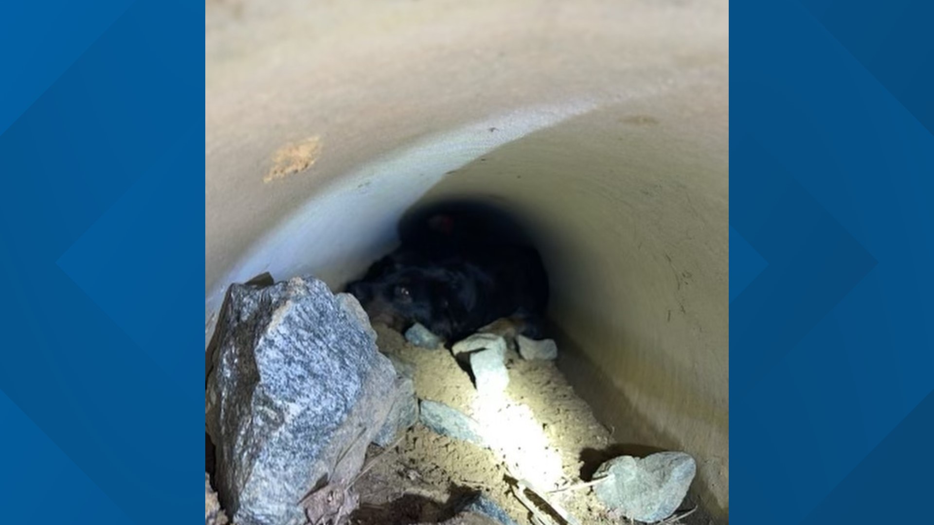 Cobb County crews rescue puppy from storm drain | 11alive.com Cobb County crews rescue puppy from storm drain | 11alive.com