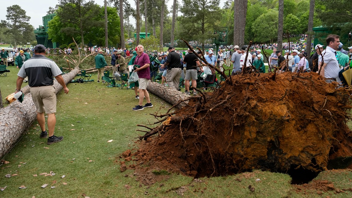 PHOTOS | Three large pine trees collapse at Masters near group of ...