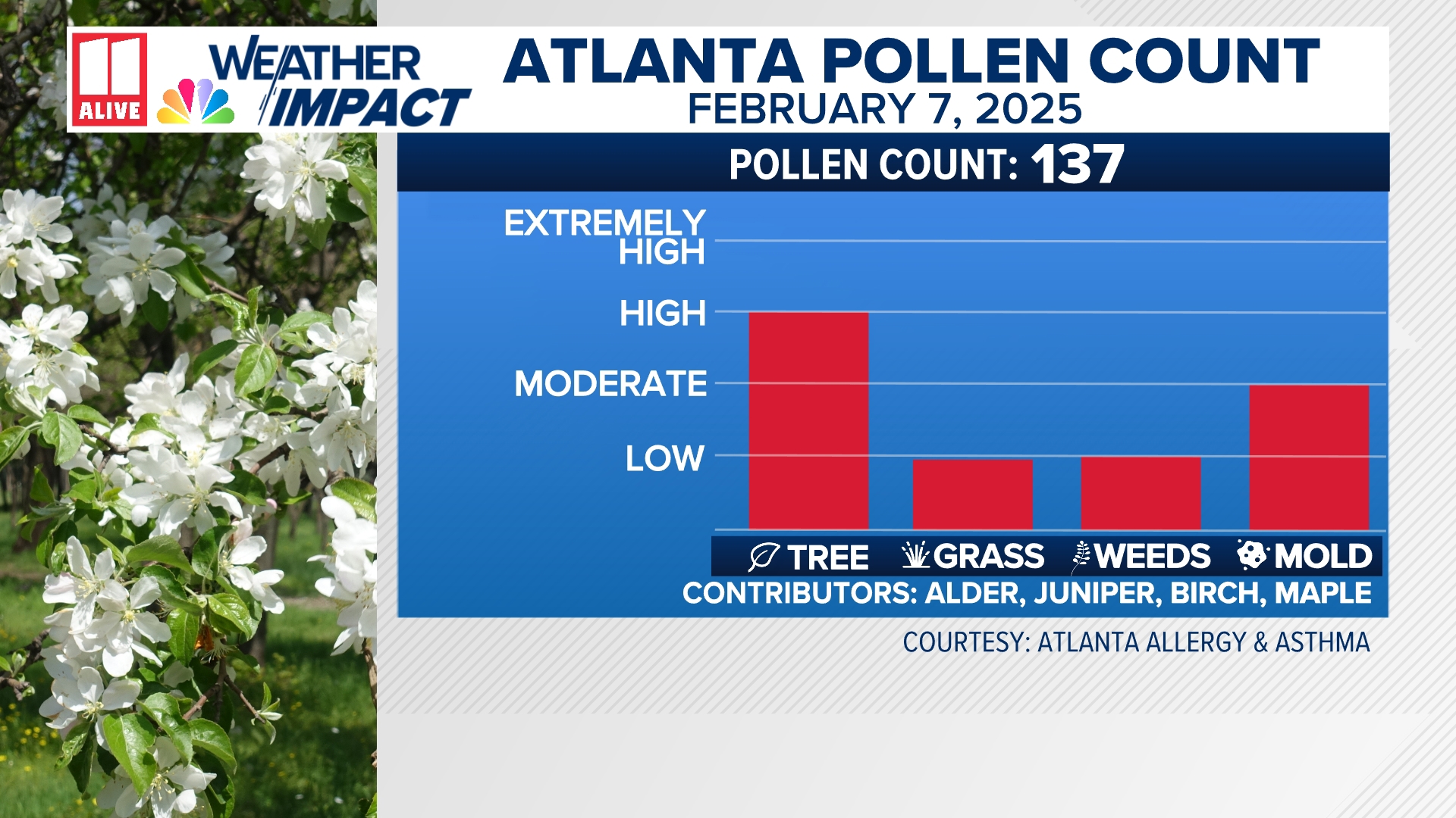 Pollen count in Atlanta | 11alive.com